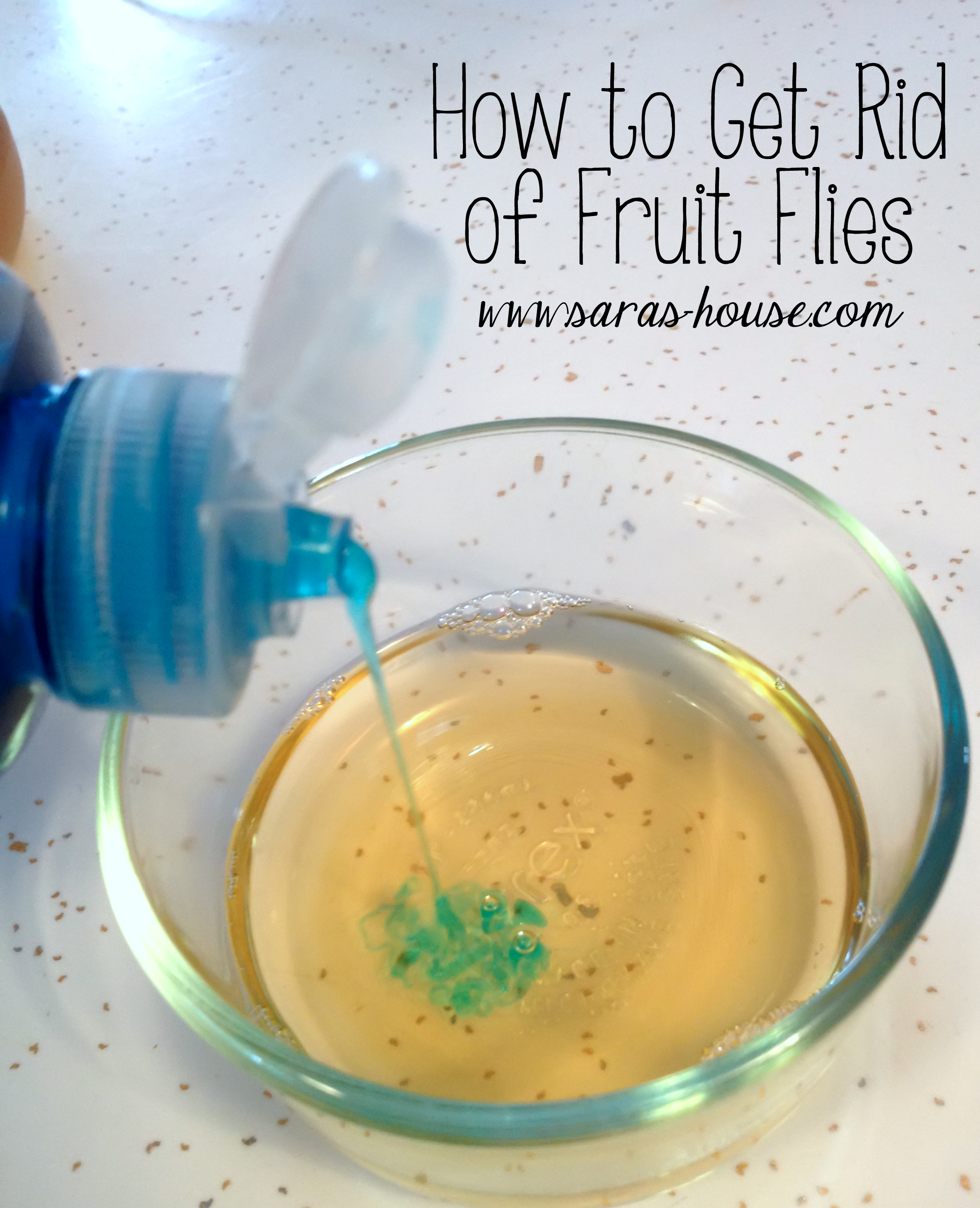 How To Get Rid Of Fruit Flies